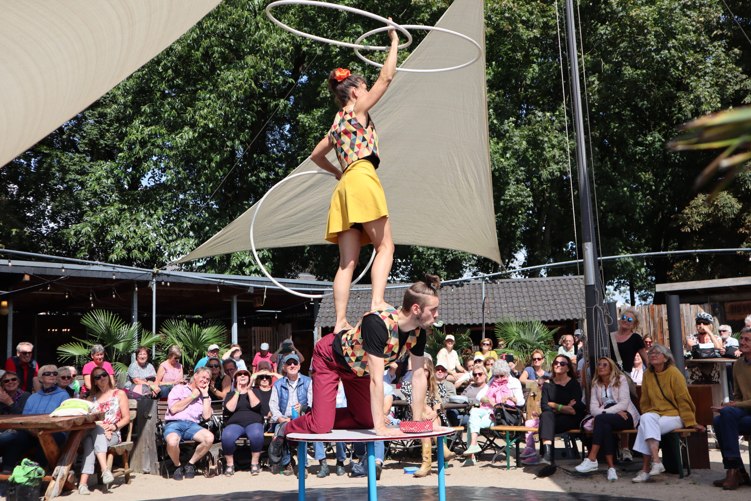 De Grote Hula Show - Daniel Simu